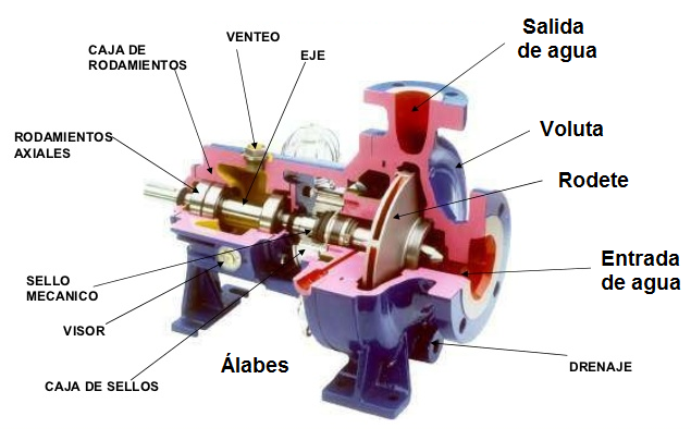Bombas de agua que es y como funcionan - HOUSING